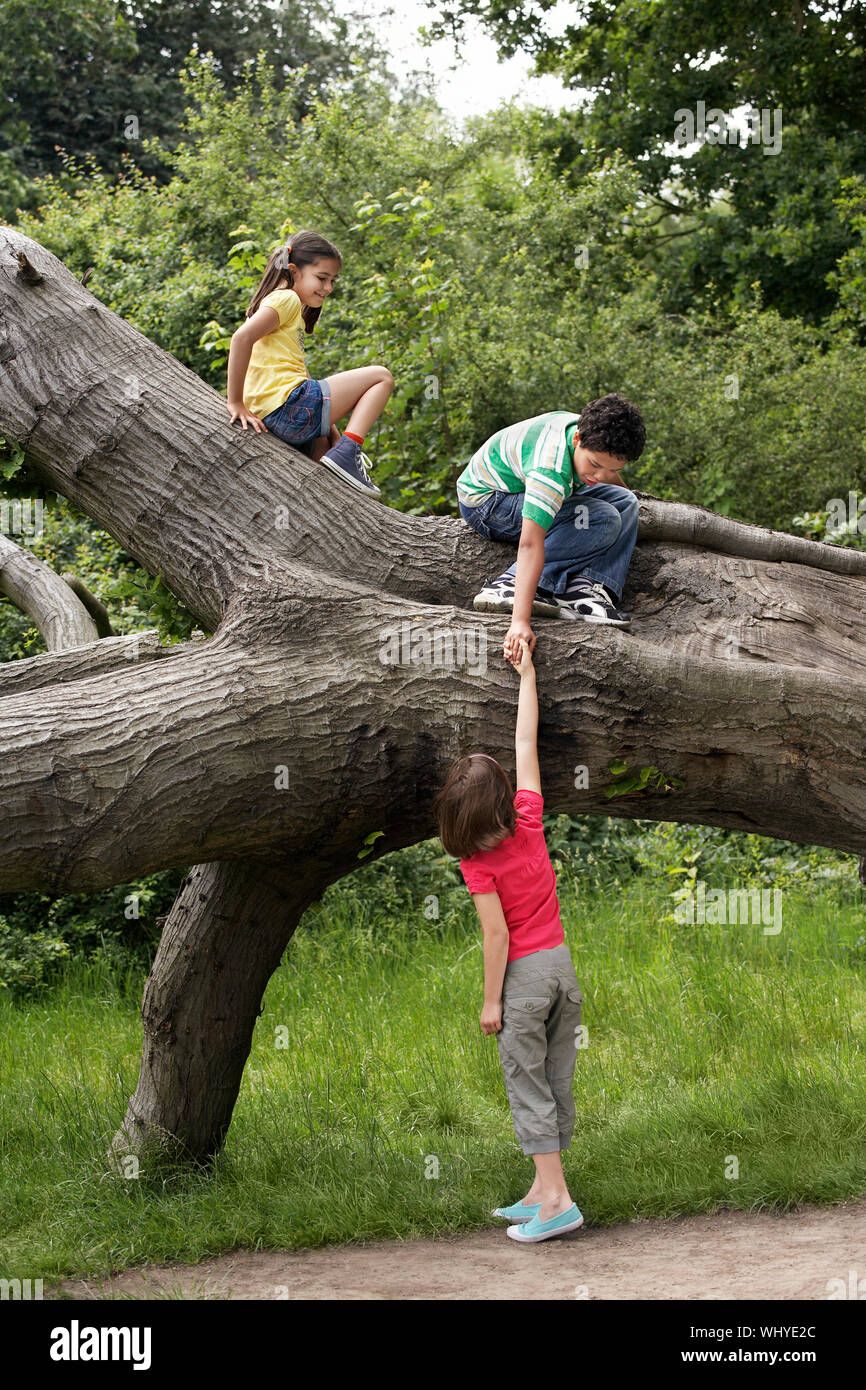 African boy climbing tree hi-res stock photography and images - Alamy