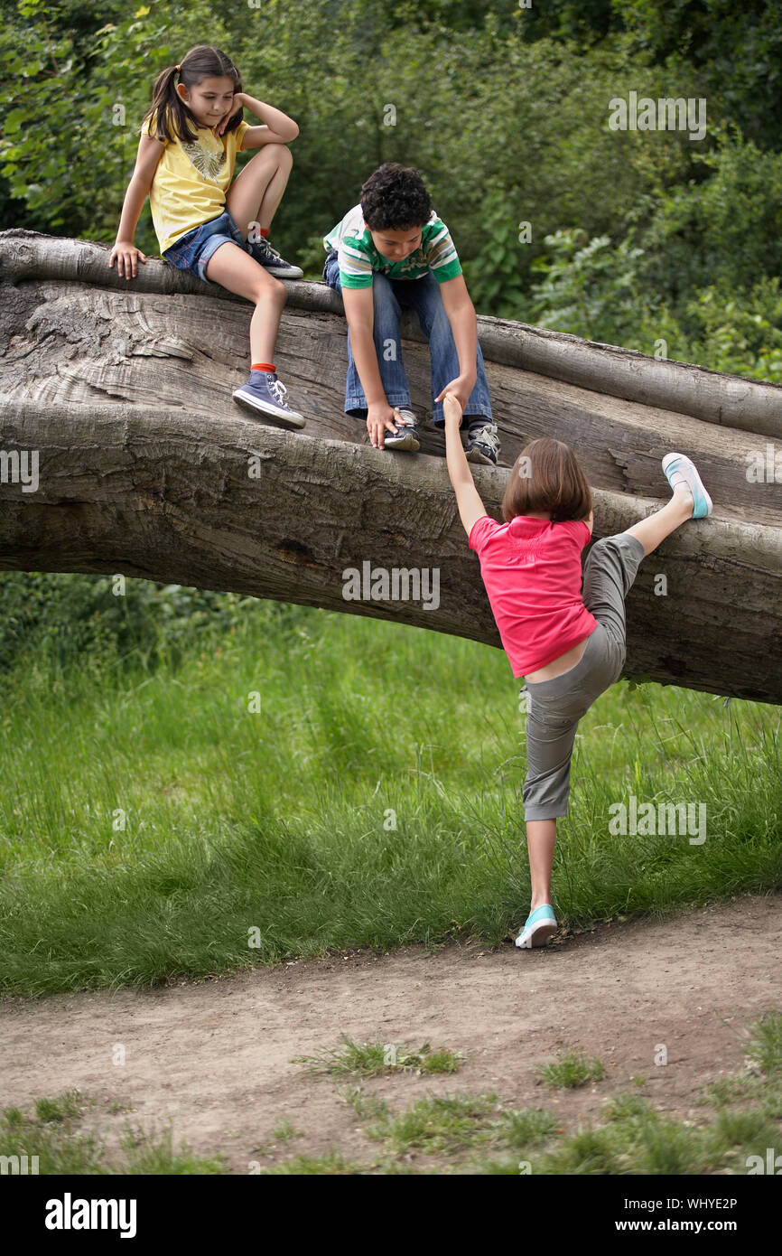 African boy climbing tree hi-res stock photography and images - Alamy
