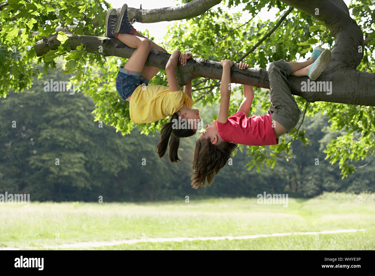 Girl hanging upside down from hi-res stock photography and images - Alamy