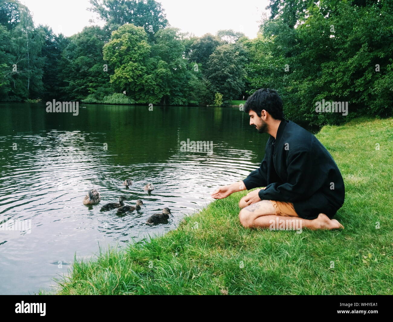 Feeding the ducks in the park hi-res stock photography and images - Alamy