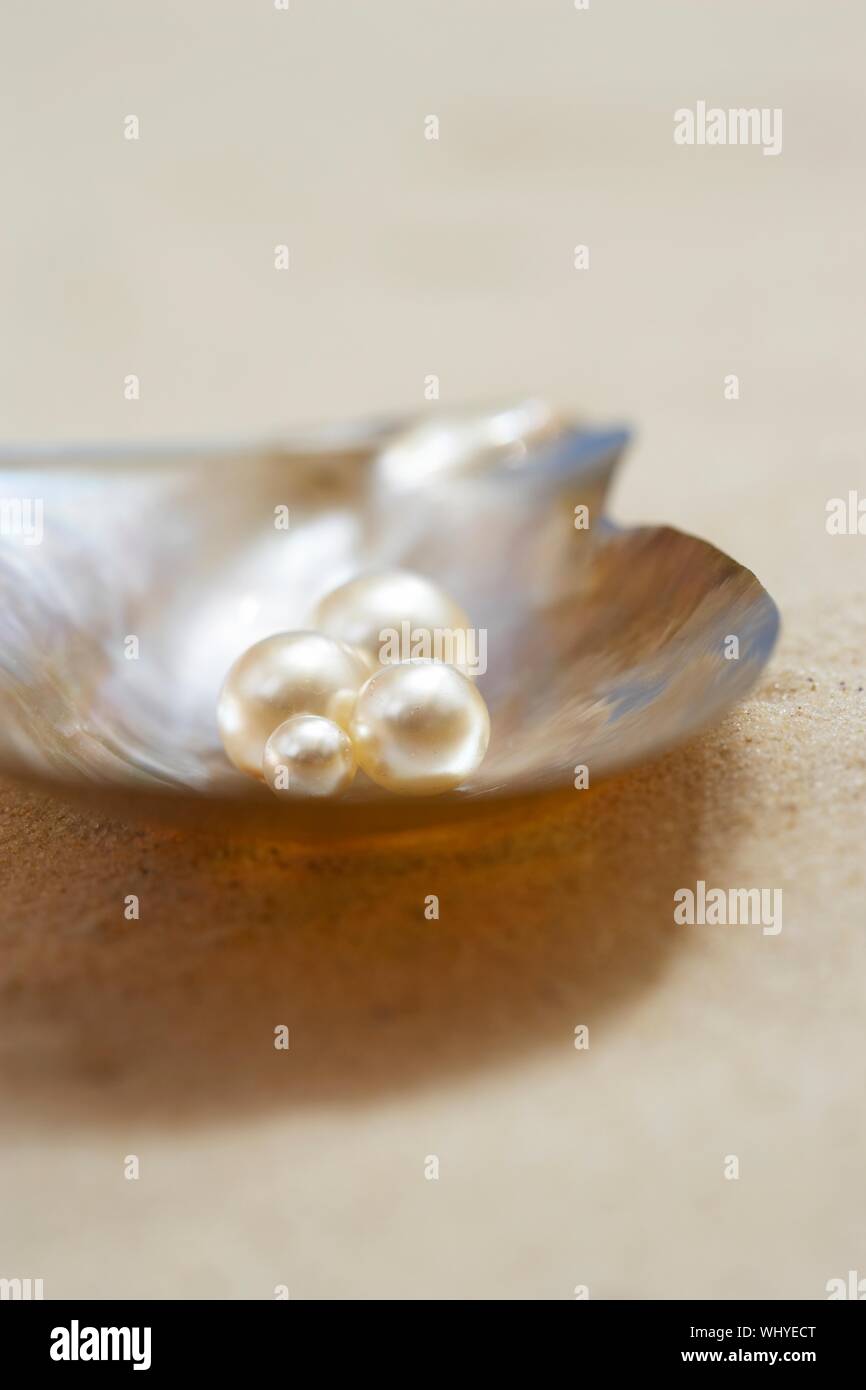 Pearls in open shell hi-res stock photography and images - Alamy