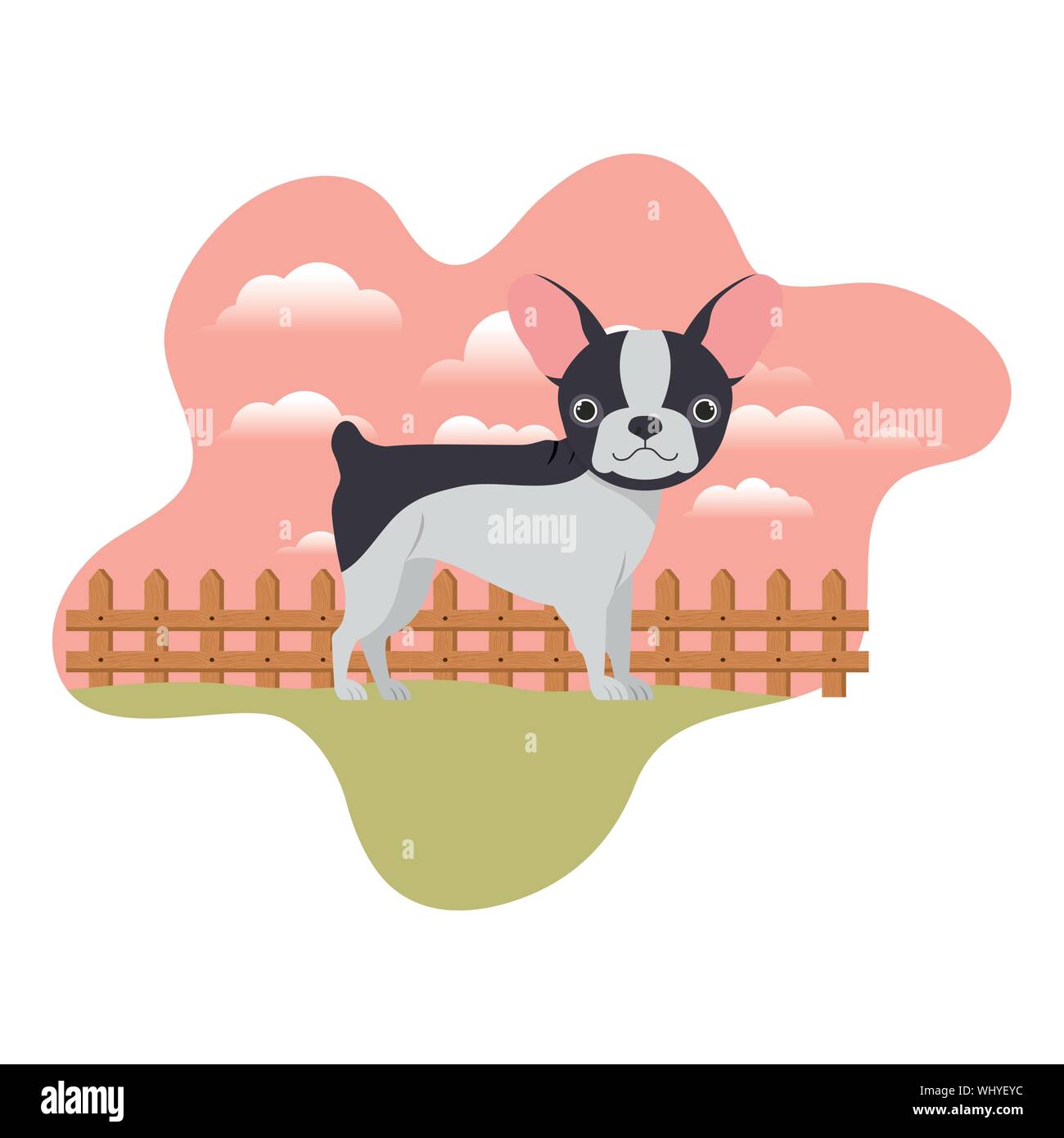 cute boston terrier dog with background landscape Stock Vector Image ...
