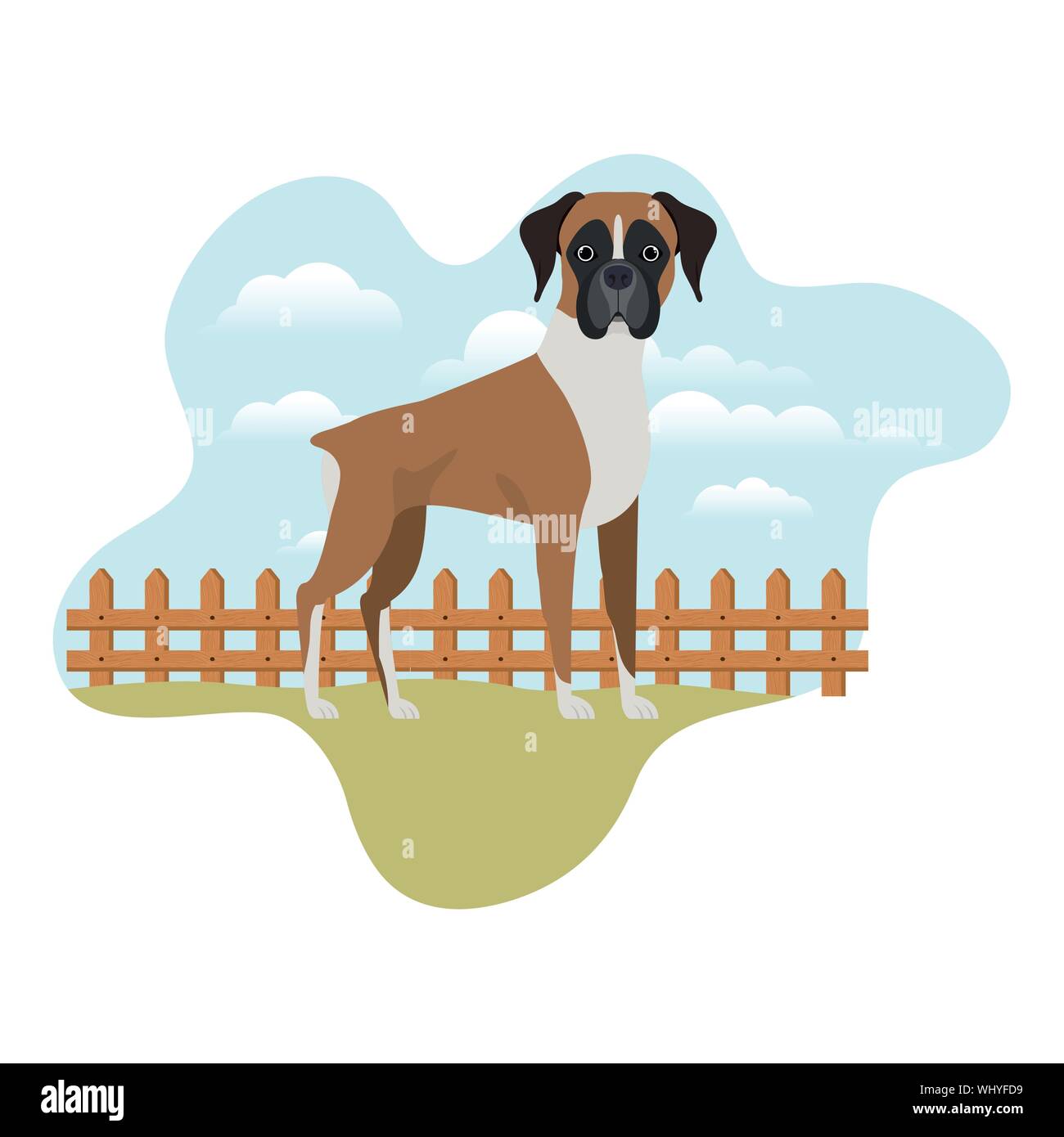 Boxer Dog Outdoors Stock Vector Images - Alamy