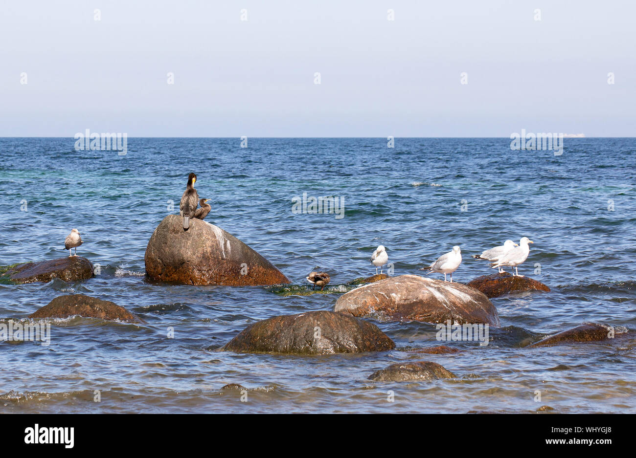 Cape Arkona (german: Kap Arkona), Gemany - seascape underneath the ...