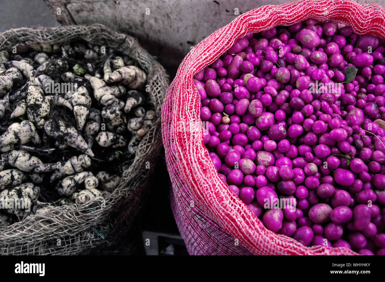 Ullucus High Resolution Stock Photography and Images - Alamy