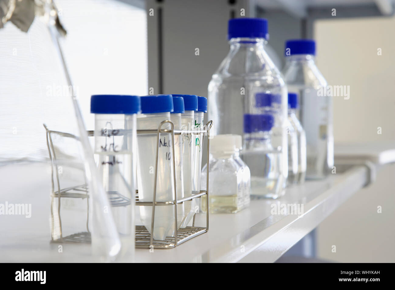 Closeup of empty test tubes and bottles on shelf in laboratory Stock ...