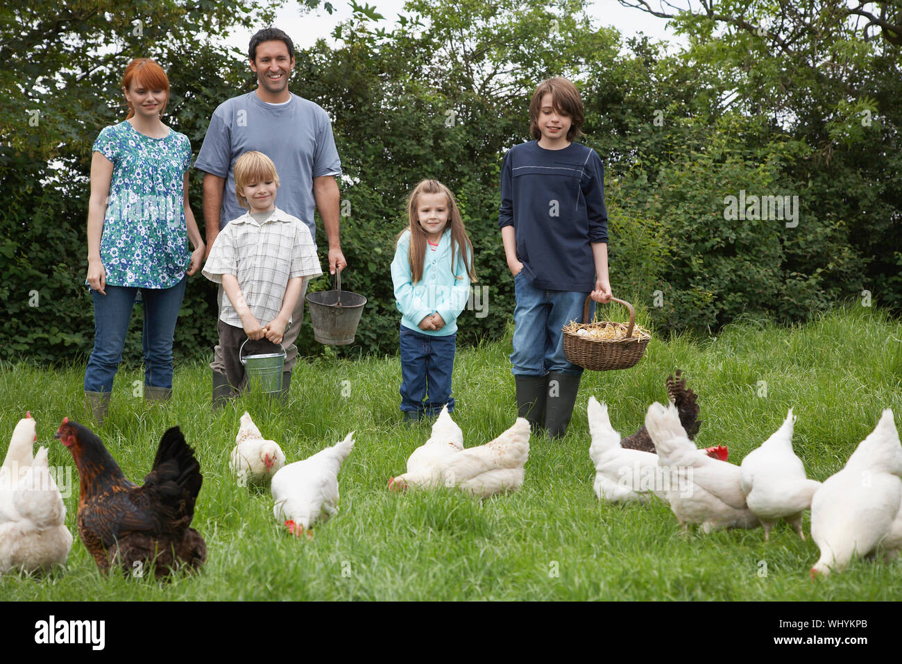 Parents with three children feeding hens on grassland Stock Photo - Alamy