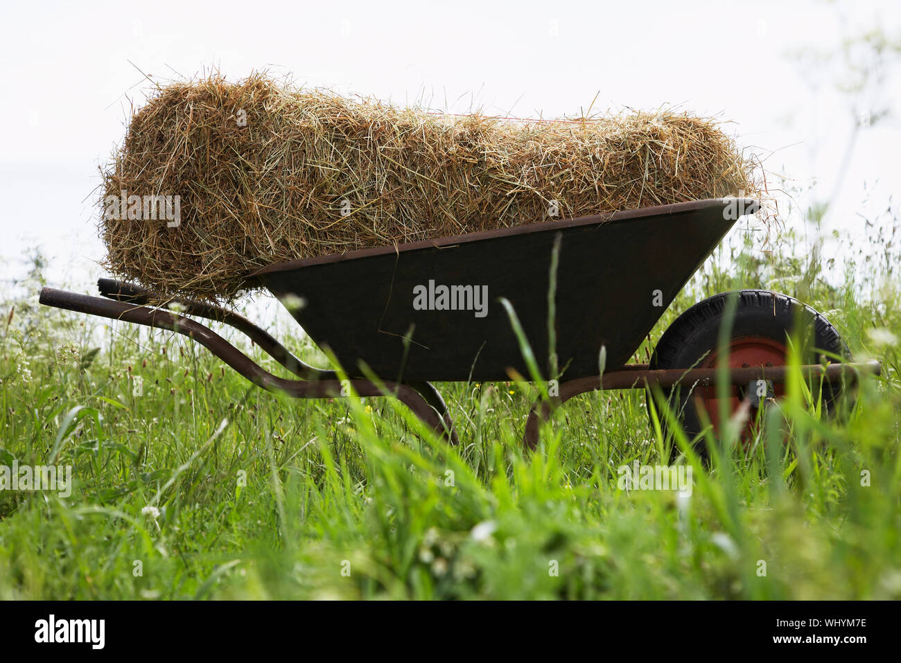 Side view of hay bale on wheelbarrow in field Stock Photo - Alamy