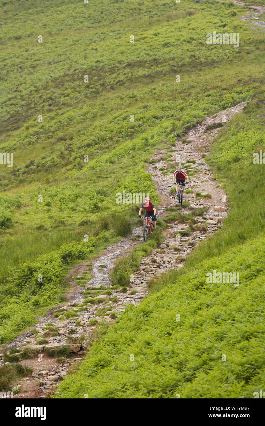 Elevated cycling route hi-res stock photography and images - Alamy