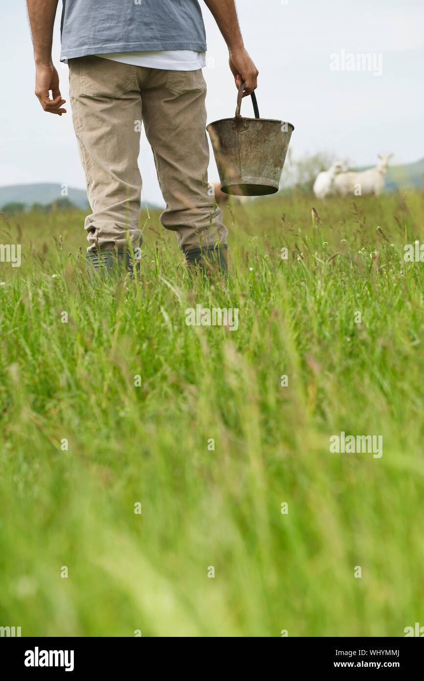 Rear view midsection of a man holding bucket in field Stock Photo - Alamy