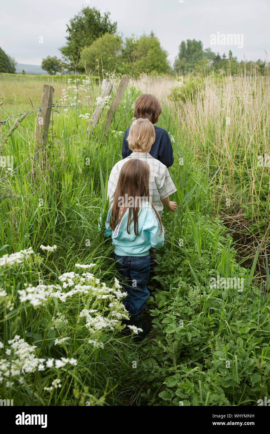 Rear view of three children walking in a row along plants in field ...