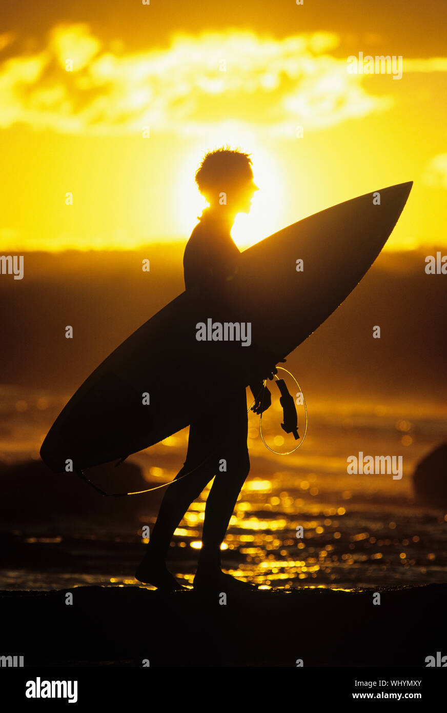 Side view of a silhouette male surfer carrying surfboard along beach at ...