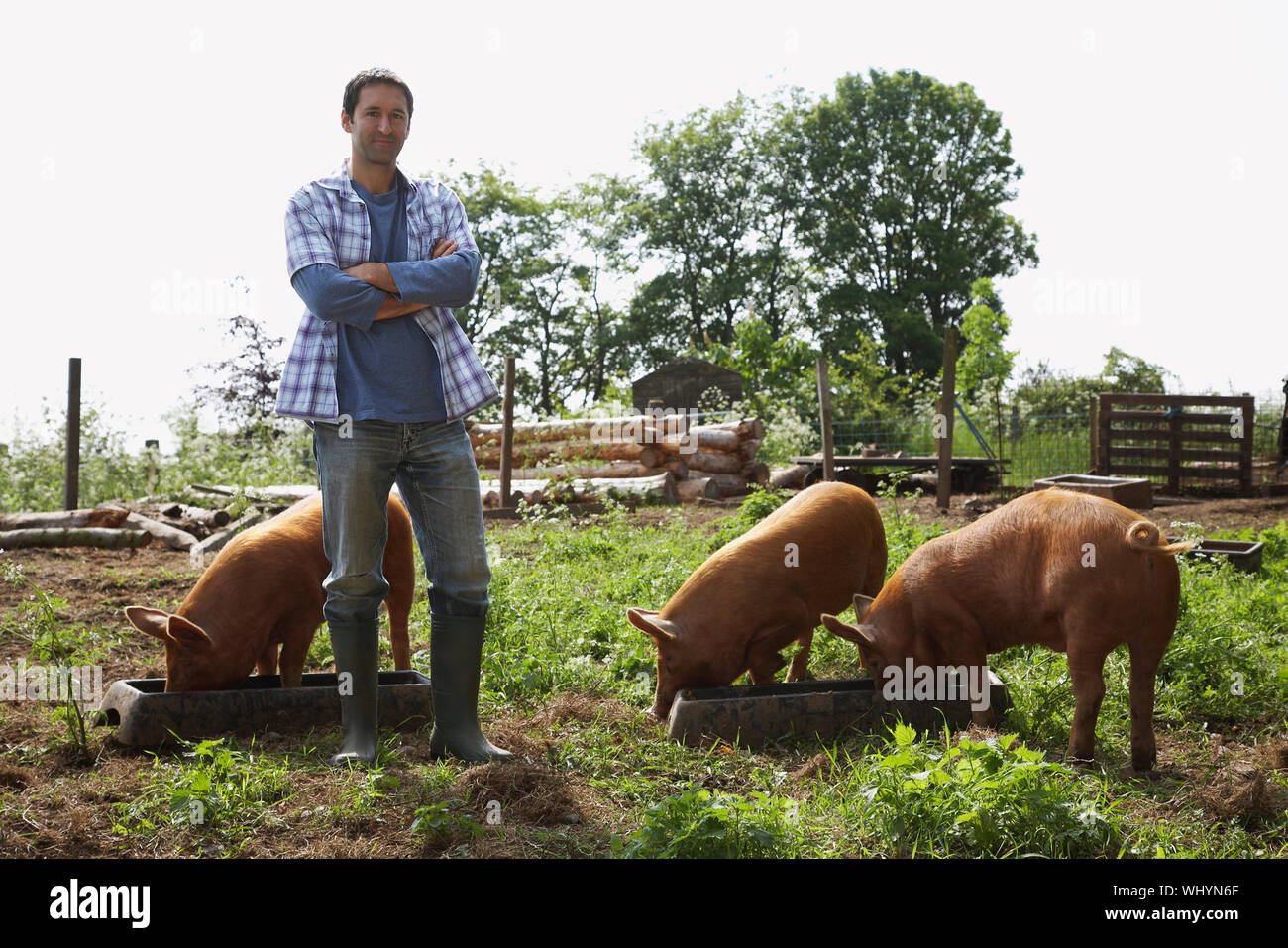 Greed countryside hi-res stock photography and images - Alamy