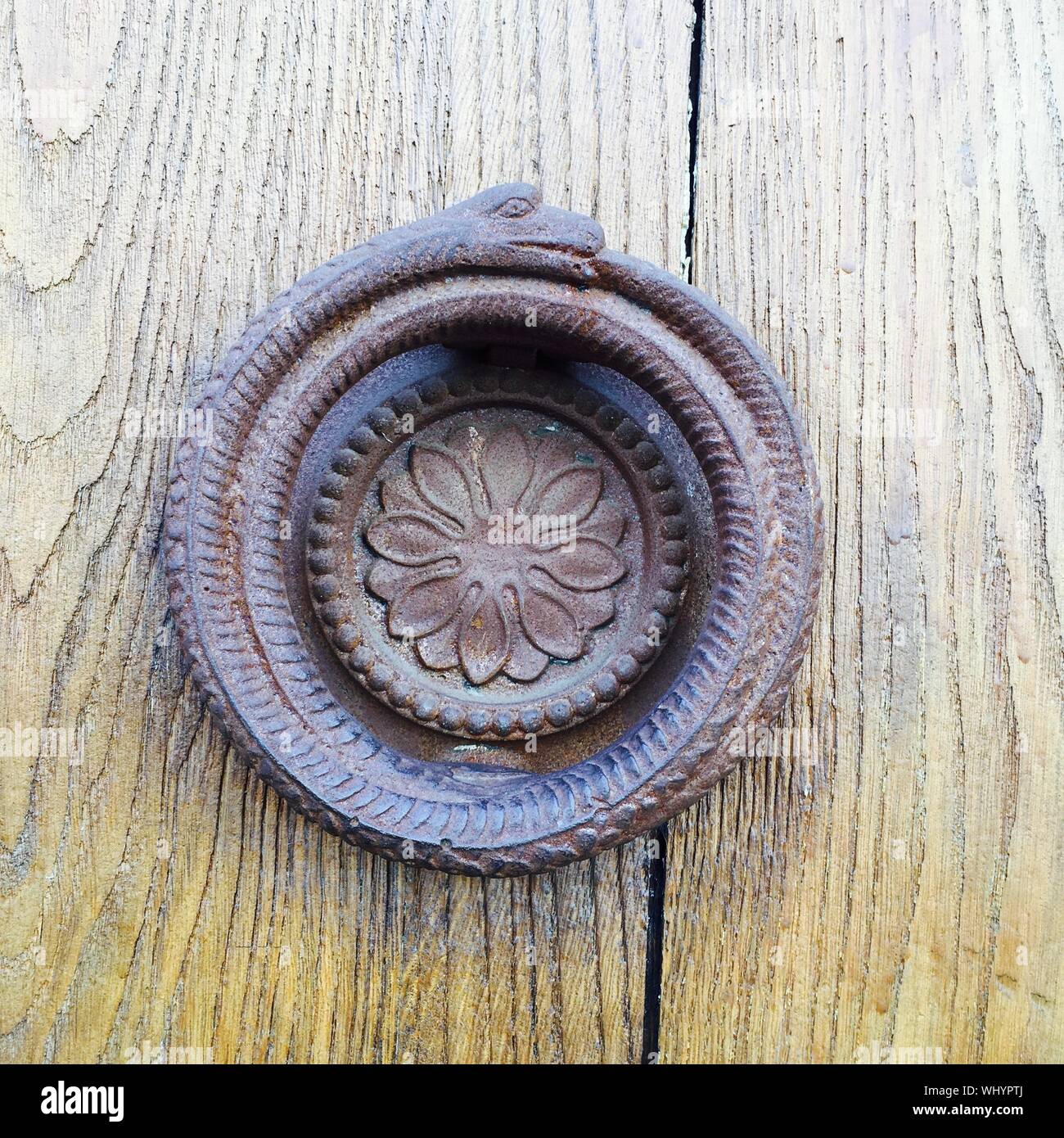 Spiral snake High Resolution Stock Photography and Images - Alamy