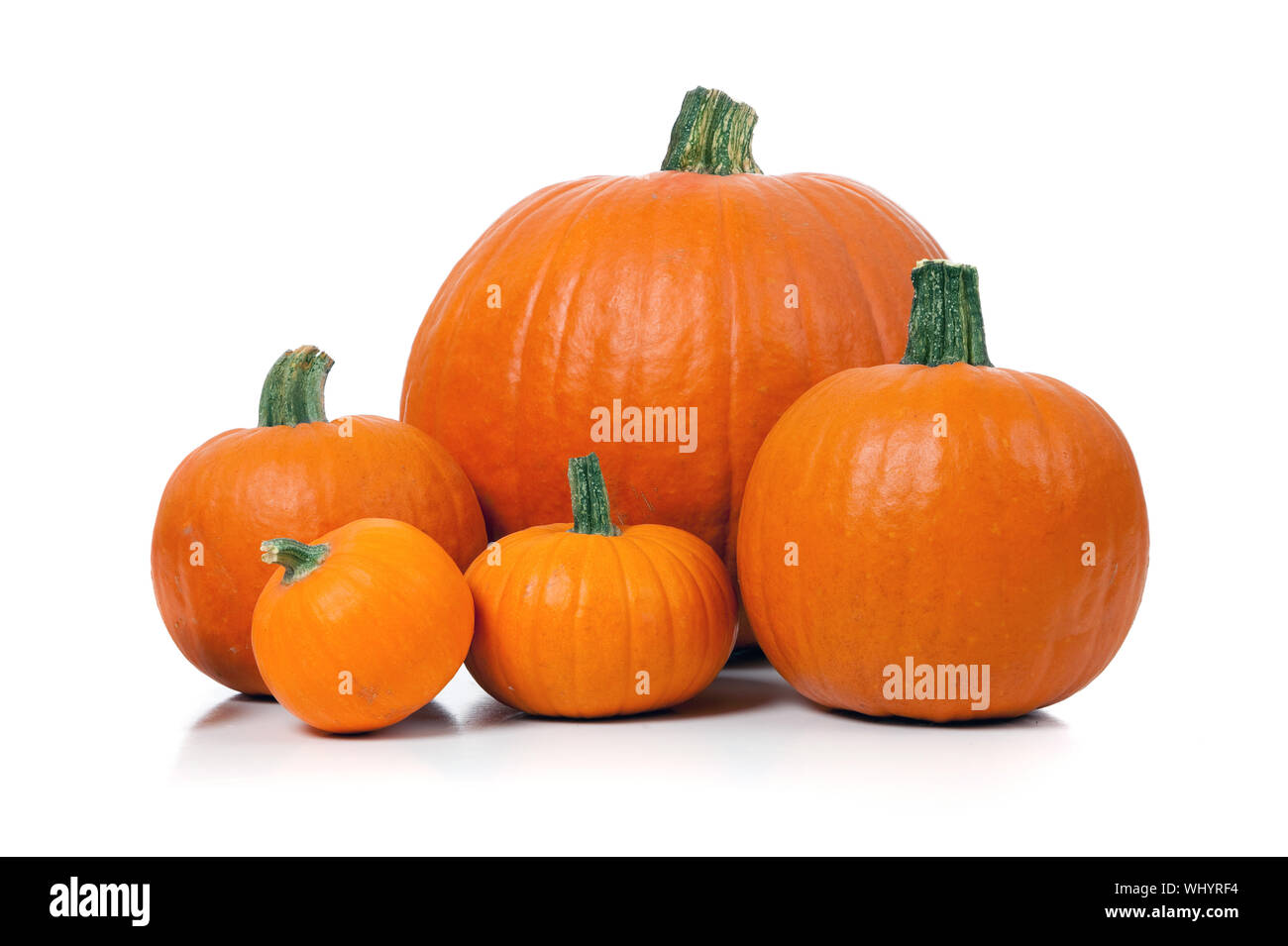 Thanksgiving autumn background pumpkins Cut Out Stock Images & Pictures ...