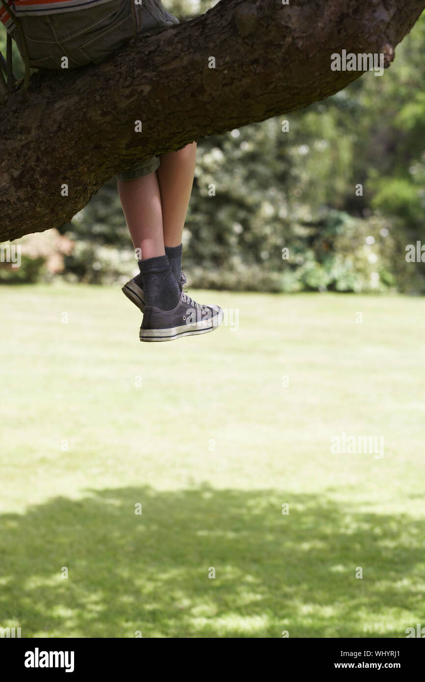 Lowsection of a boy sitting on branch of tree over meadow Stock Photo ...