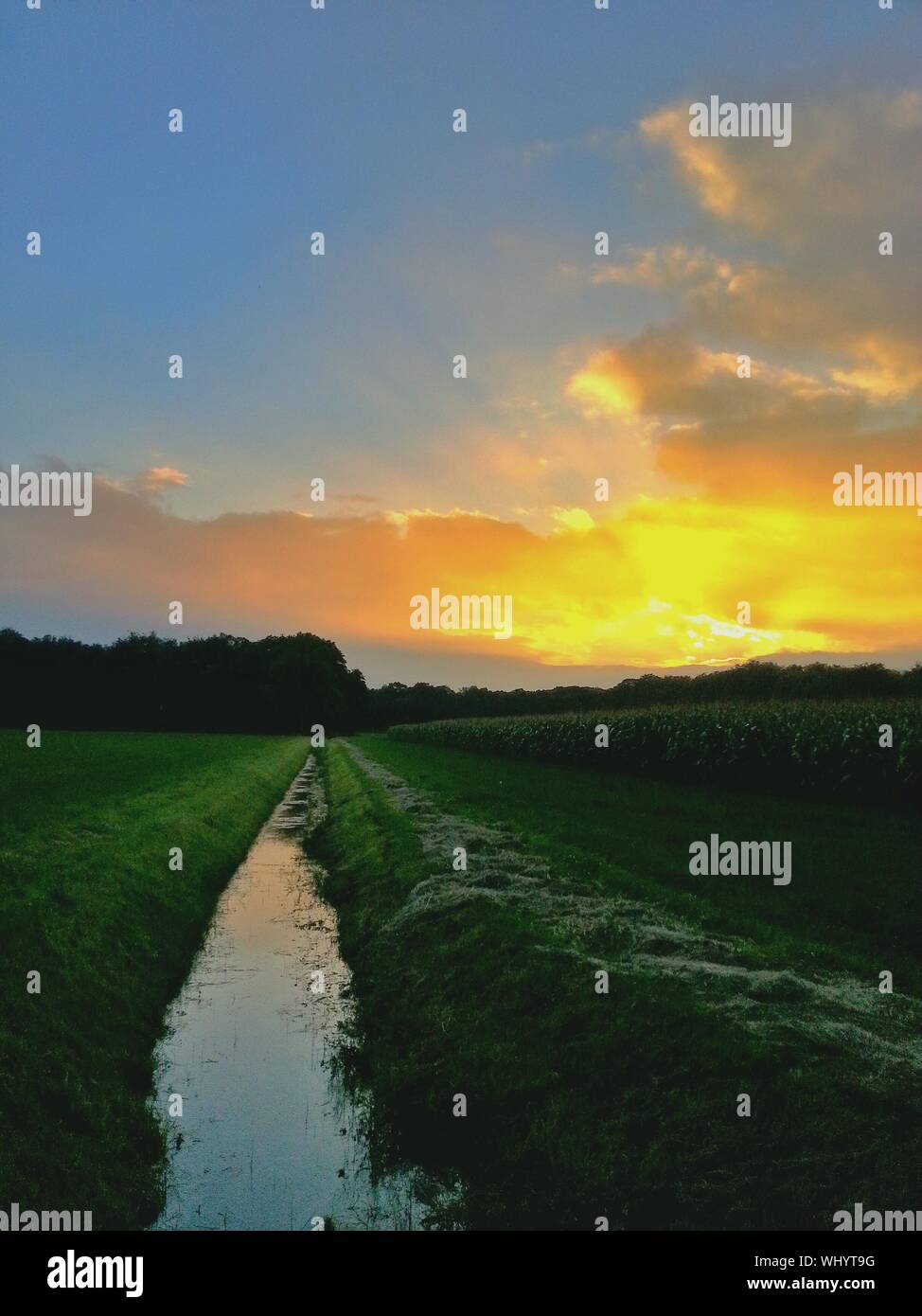 Sunset grass hi-res stock photography and images - Alamy