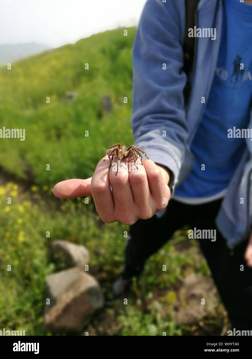 Man holding spider hi-res stock photography and images - Alamy