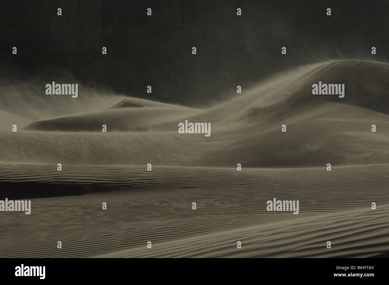 Desert at Night Stock Photo - Alamy