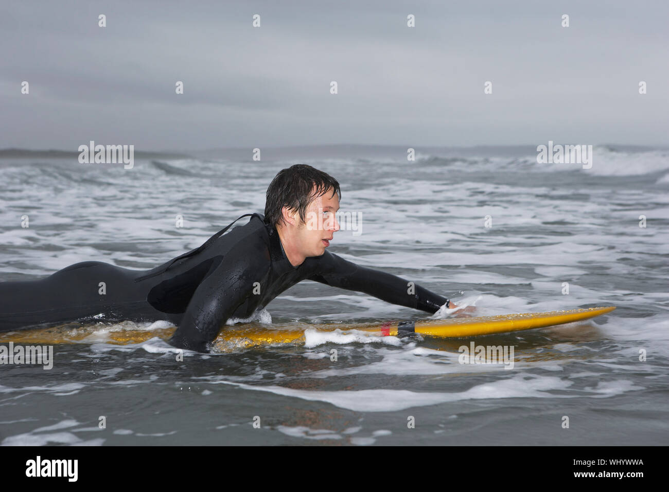 Side view of male surfer paddling on surfboard in water at beach Stock ...