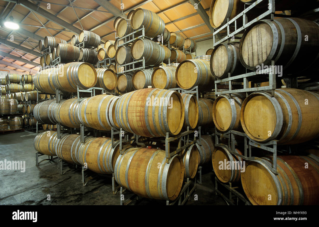 Wine barrels in storage shed Stock Photo - Alamy