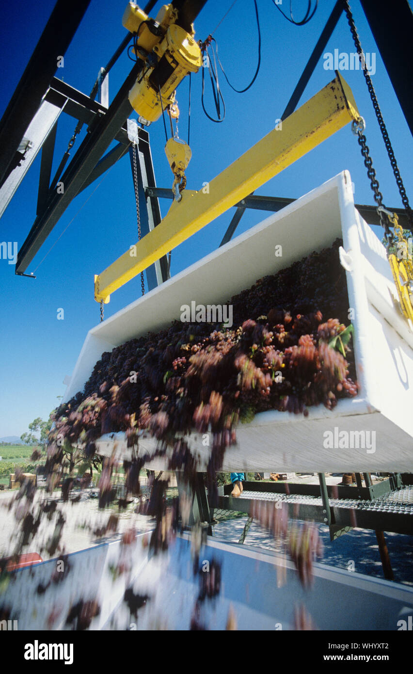 Unloading fruit produce hi-res stock photography and images - Alamy