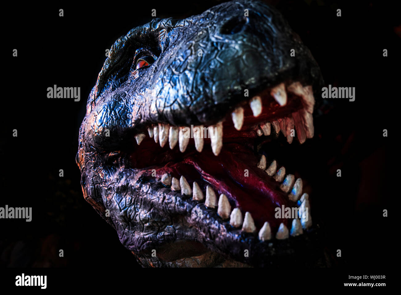 Tyrannosaurus rex dinosaur head face hi-res stock photography and ...