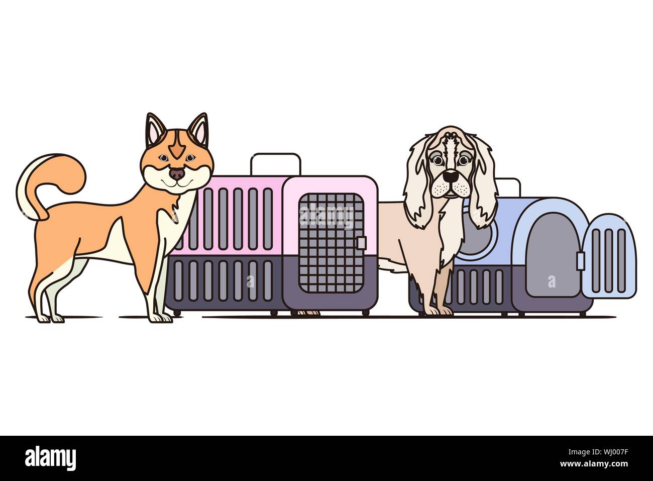dogs and pet transport boxes on white background Stock Vector Image ...