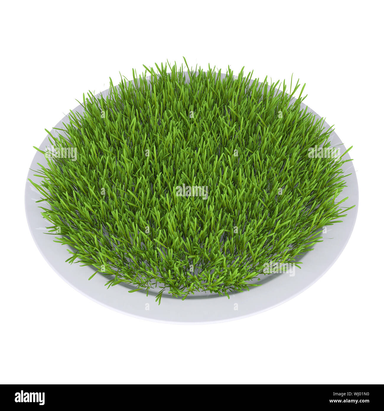 4882 hi-res stock photography and images - Alamy