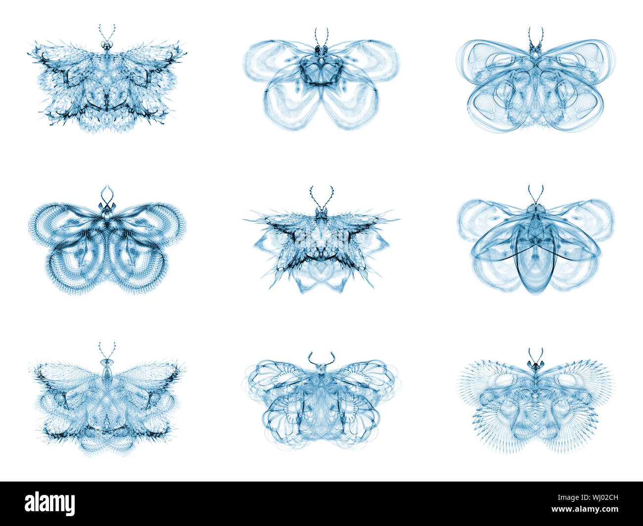 Fractal Butterflies series. Abstract design made of isolated fractal ...