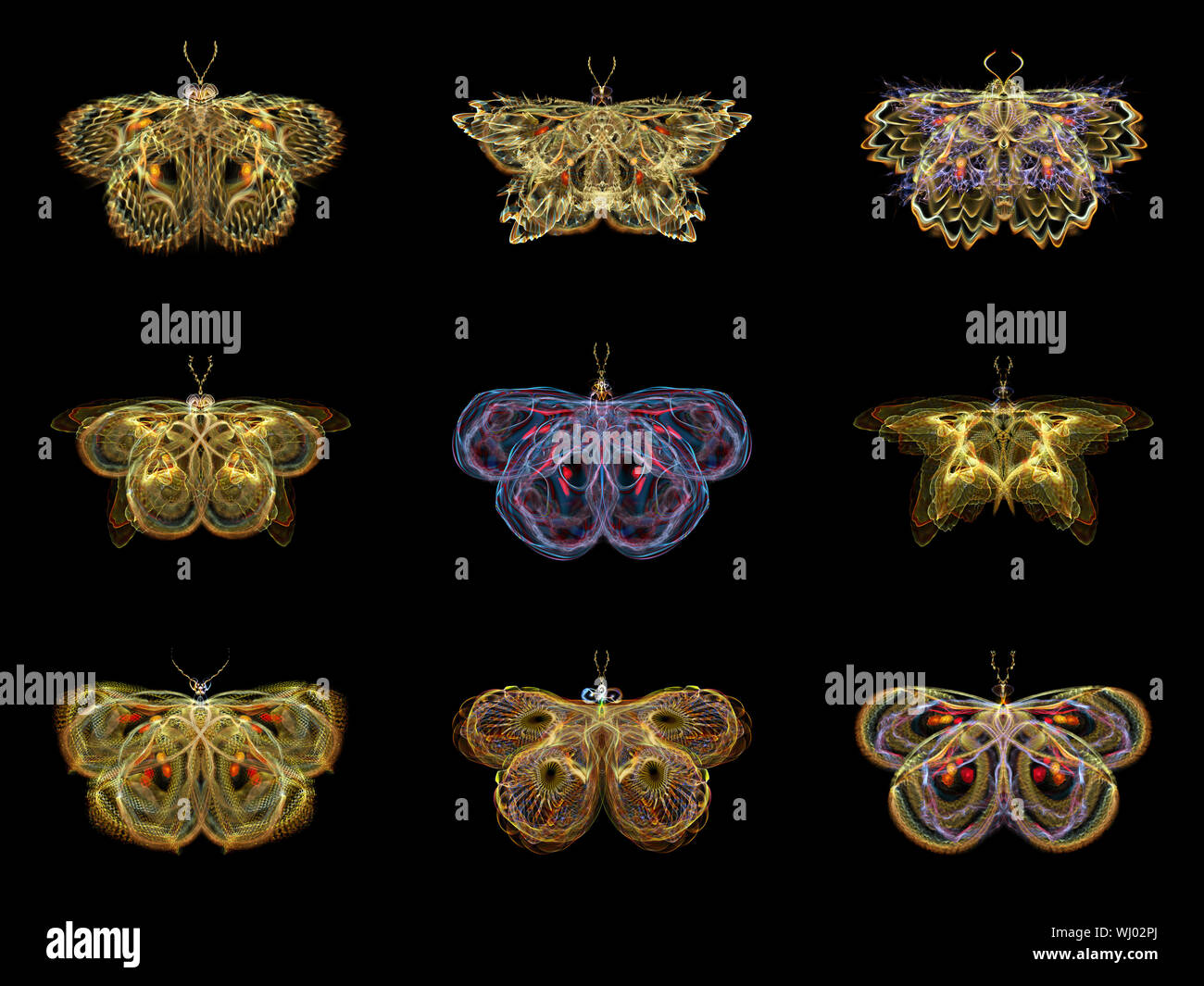 Fractal Butterflies series. Composition of isolated fractal butterflies ...