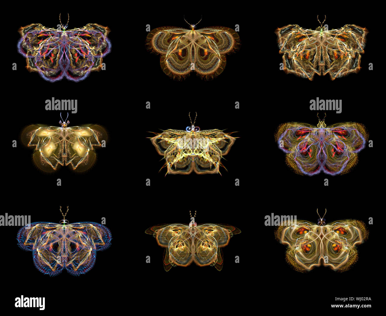 Fractal Butterflies series. Composition of isolated fractal butterflies ...