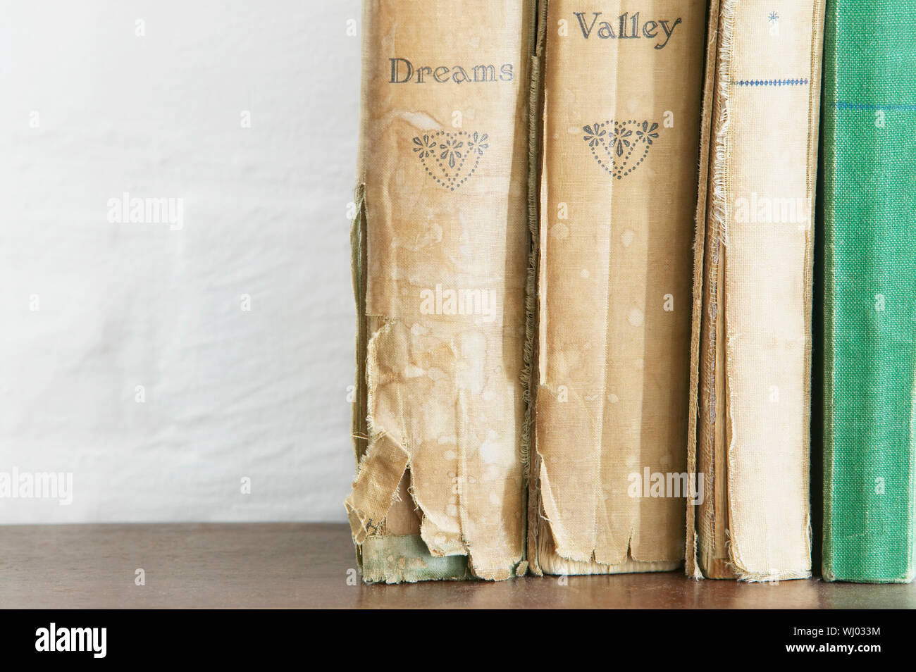 Books on a Shelf Stock Photo - Alamy