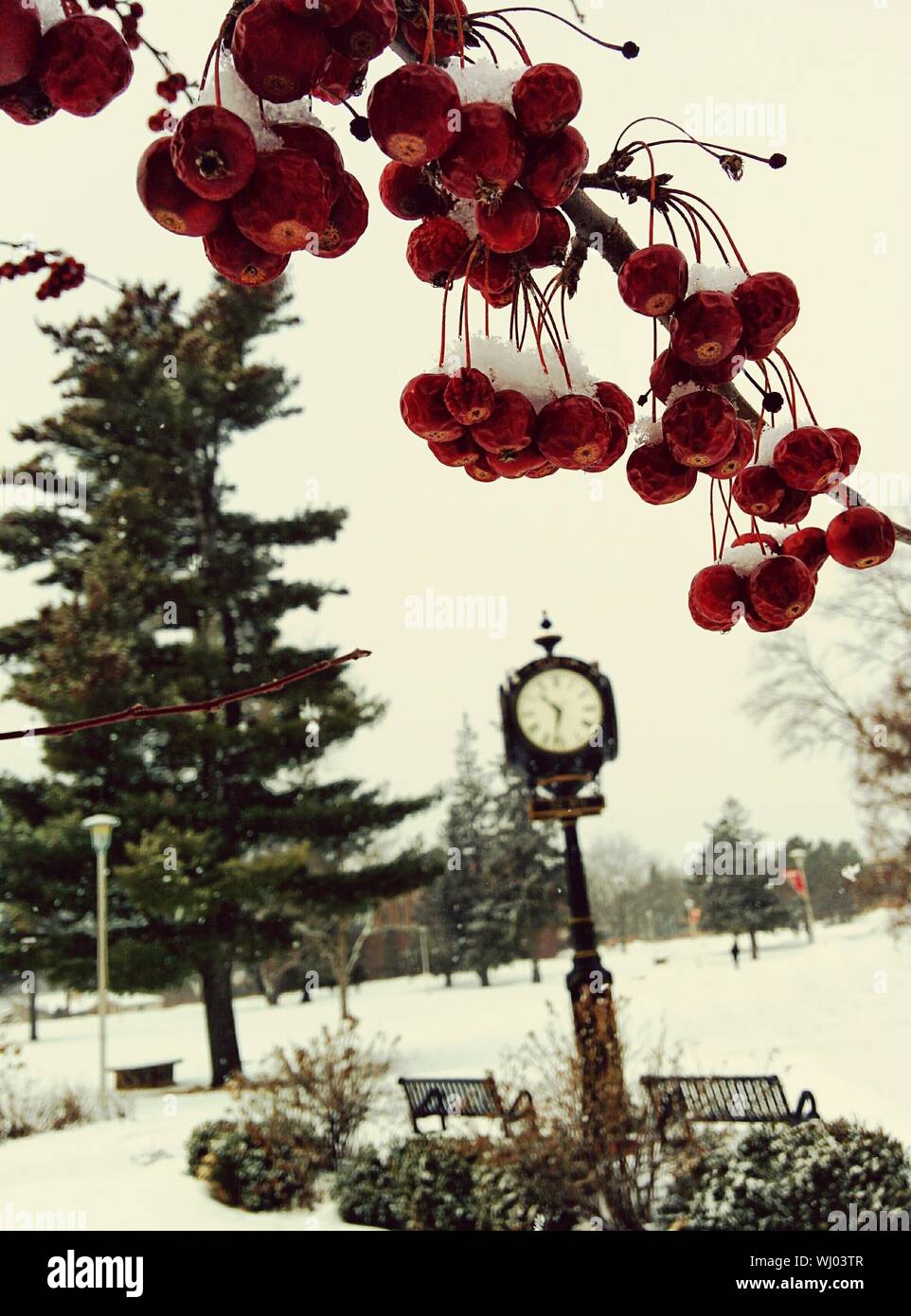 Lamp Post Snow High Resolution Stock Photography and Images - Alamy