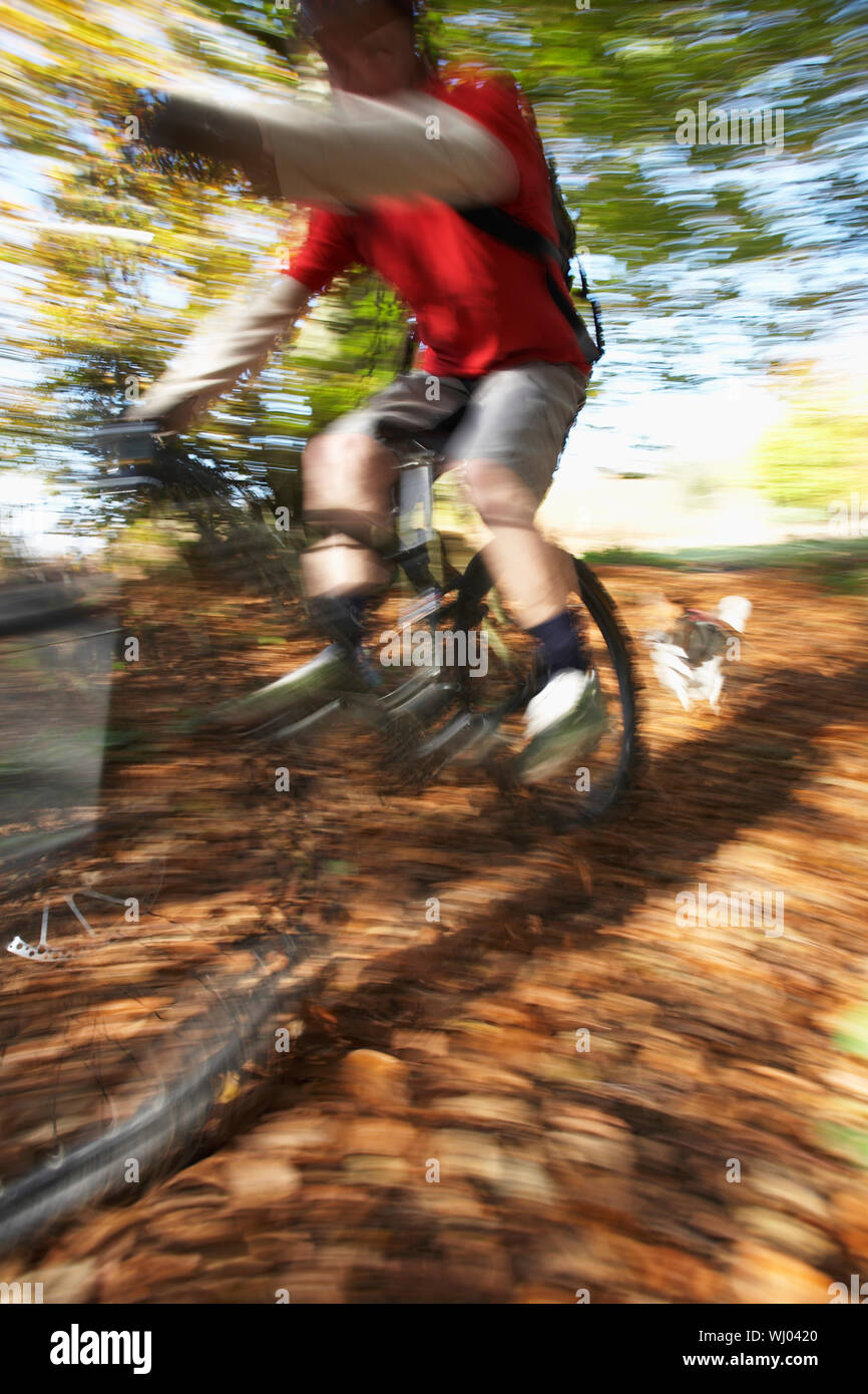 Dog chasing man on mountain bike through forest Stock Photo - Alamy