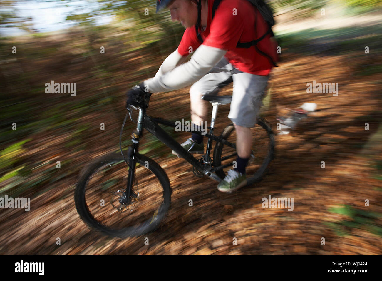 Dog chasing man on mountain bike through forest Stock Photo - Alamy