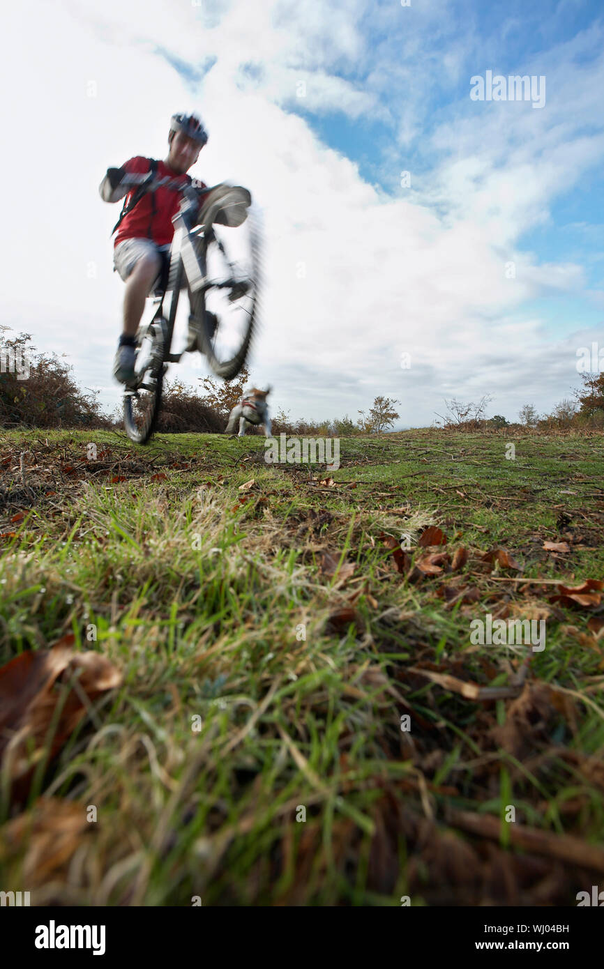 Dog chasing man on mountain bike through forest Stock Photo - Alamy