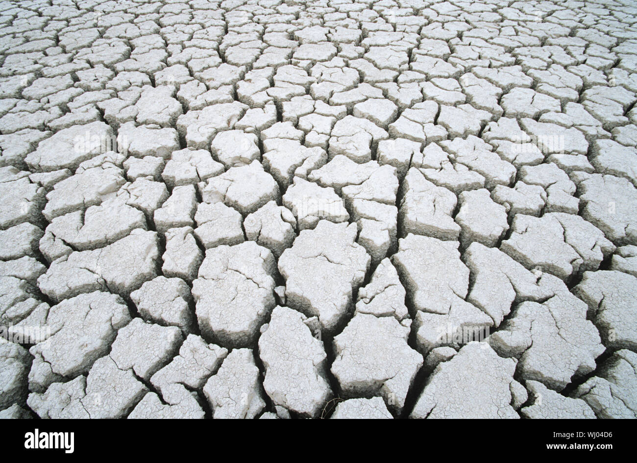 Cracked dry earth Stock Photo - Alamy
