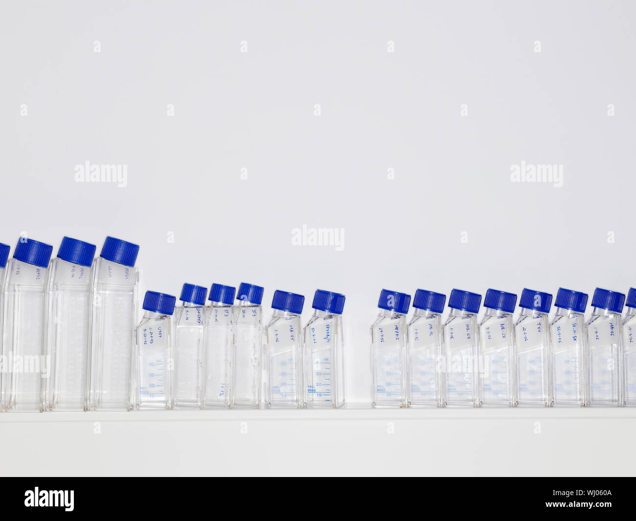 Row of specimen bottles on shelf in laboratory Stock Photo - Alamy