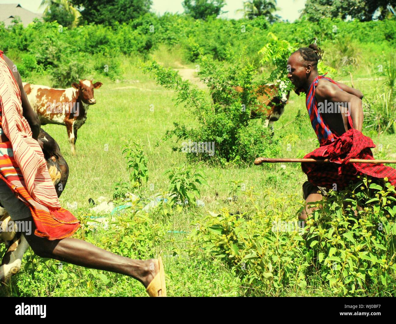 Two masai men hi-res stock photography and images - Alamy