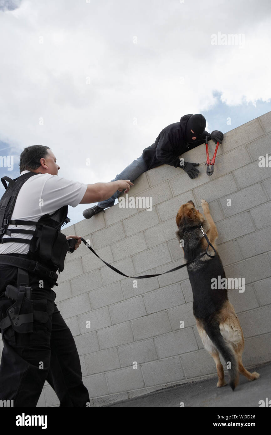 Security guard with dog catching thief Stock Photo - Alamy