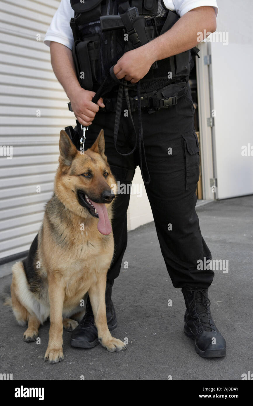 Security guard with dog, low section Stock Photo - Alamy