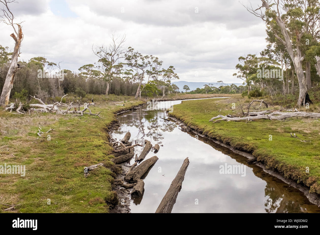 Native bushland hi-res stock photography and images - Alamy