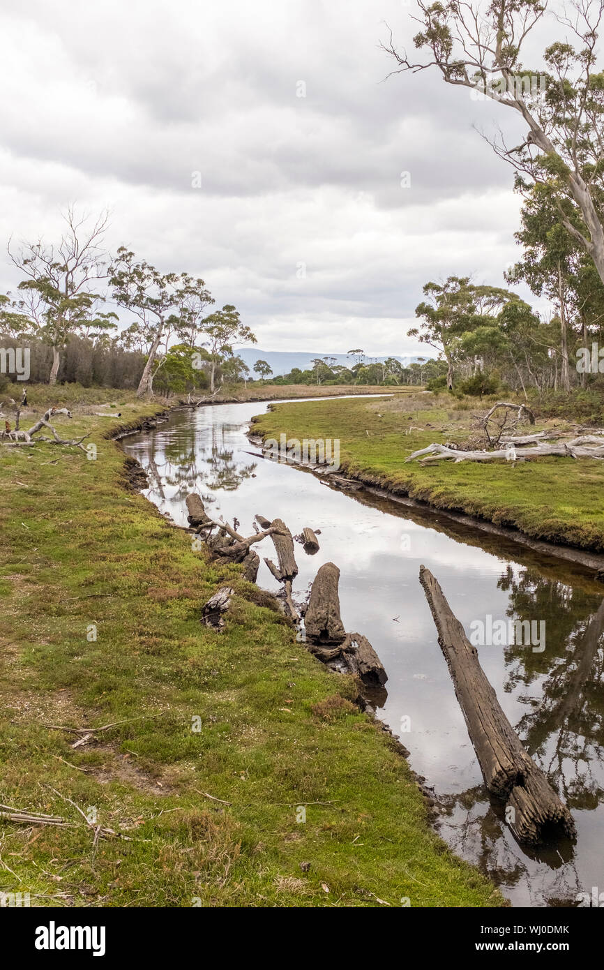 Native bushland hi-res stock photography and images - Alamy