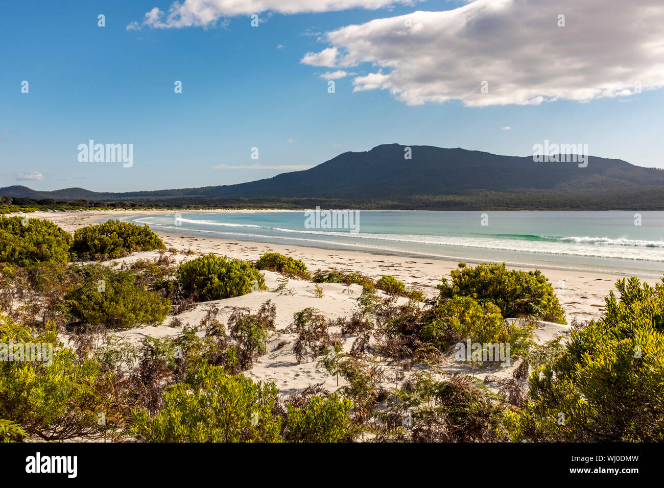 Deserted beach on Maria Island, Tasmania, Australia Stock Photo - Alamy