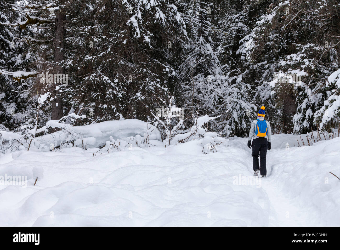 Exploring a snowy trail hi-res stock photography and images - Alamy