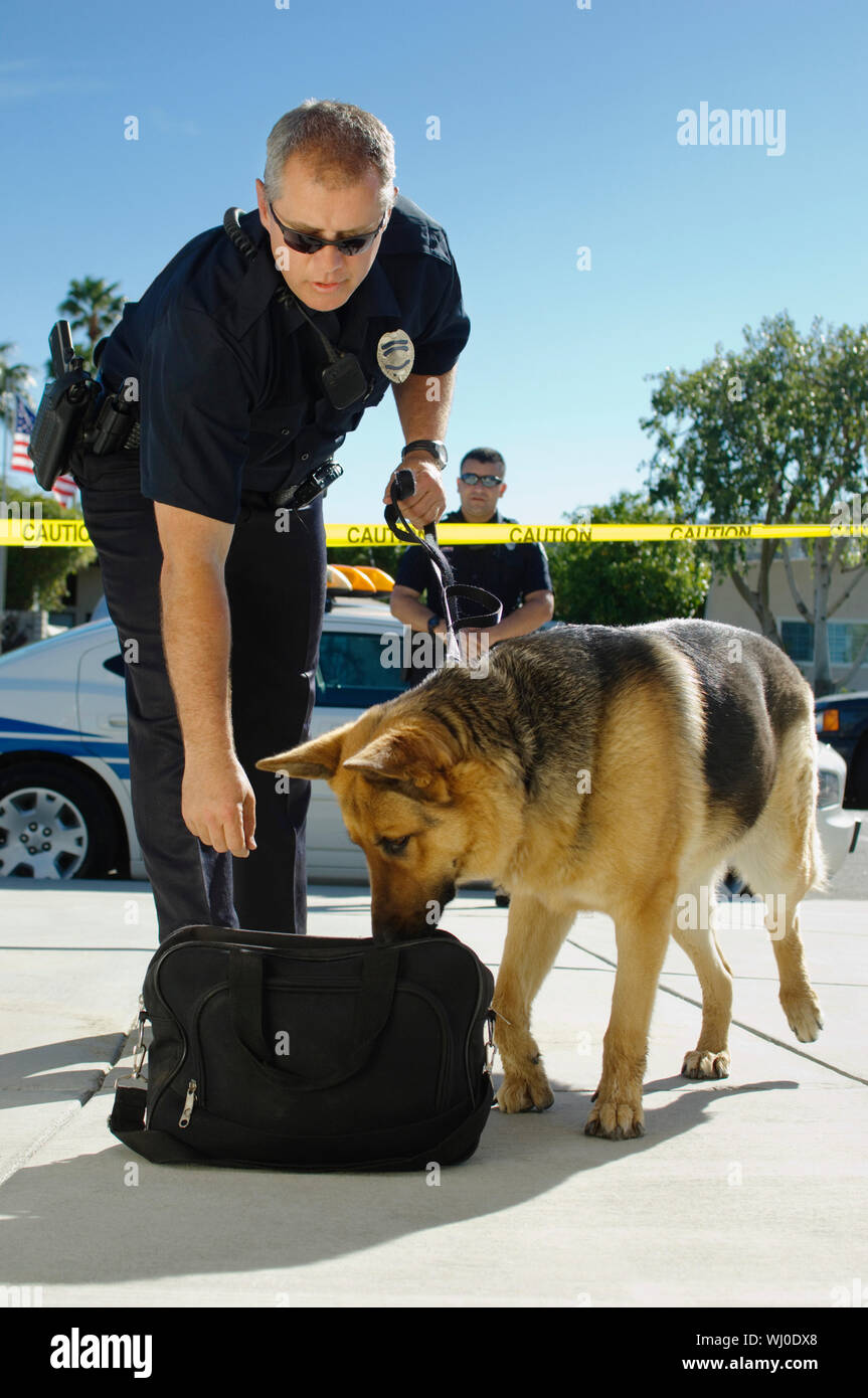 A male police officer with trained dog smelling the bag and coworker in ...