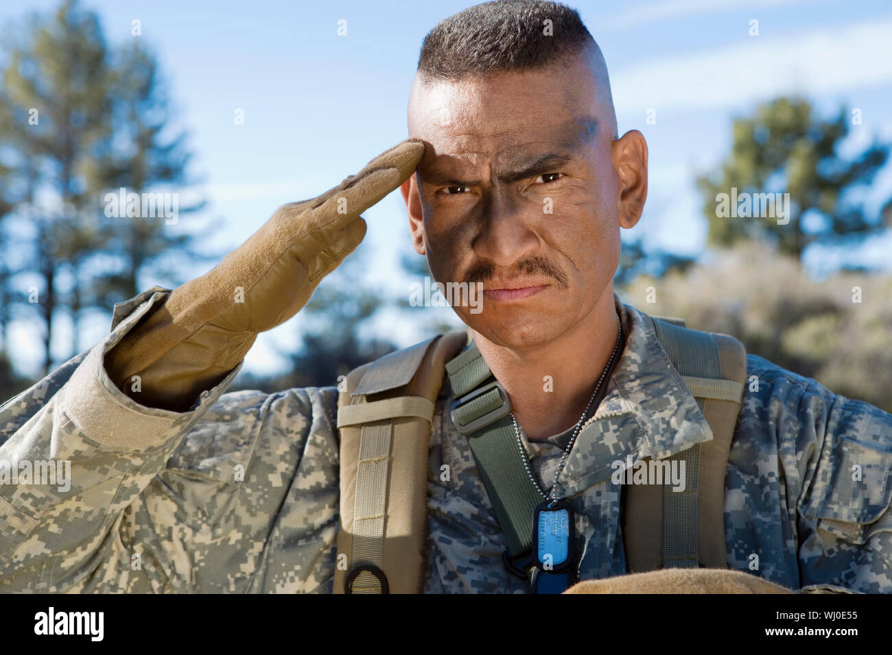 Portrait of saluting soldier Stock Photo - Alamy