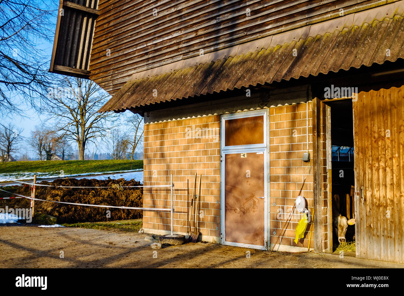 The cow shed hi-res stock photography and images - Alamy
