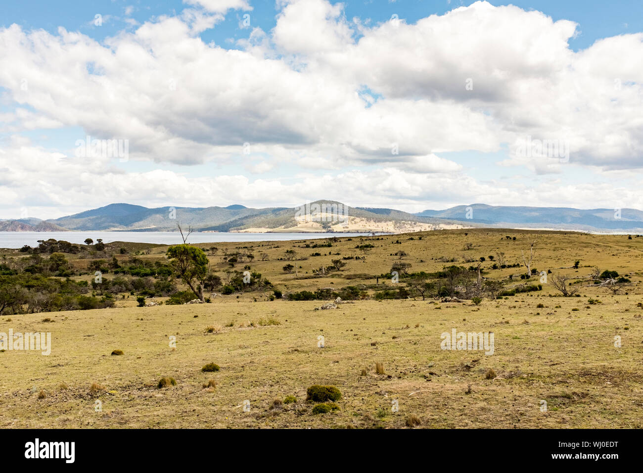 Landscape of Maria Island, Tasmania, Australia Stock Photo - Alamy